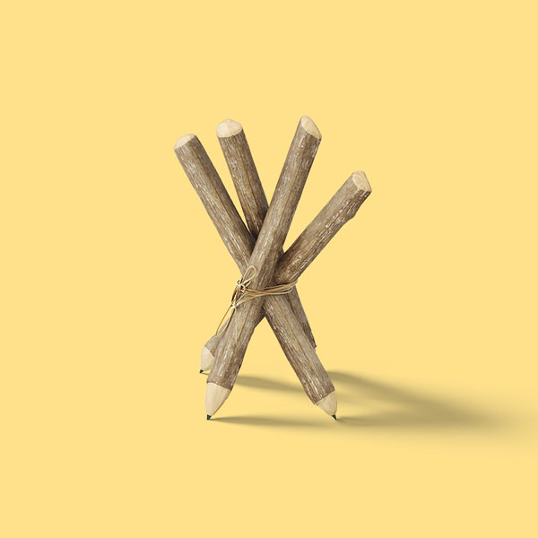 Ban Wood – Learn and Explore